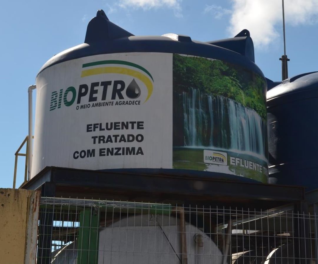 Créditos de carbono: TRF1 critica volatilidade e converte depósito ...